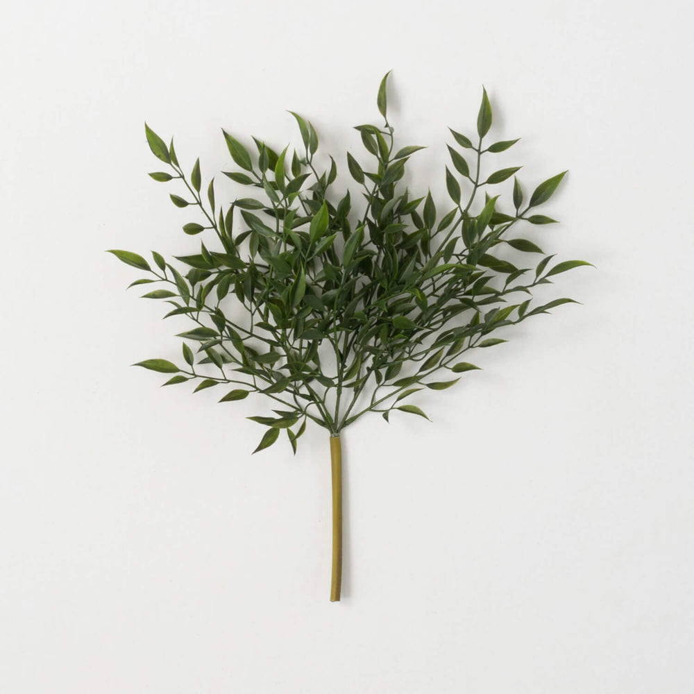 14" Leafy Green Ruscus Bush – Linen & Clove
