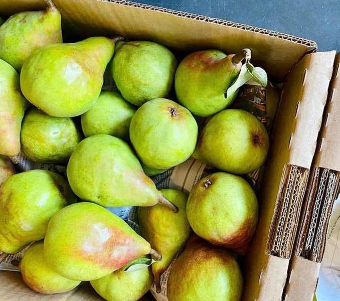 Orcas Pear with Bay Spoon Preserves – Linen & Clove