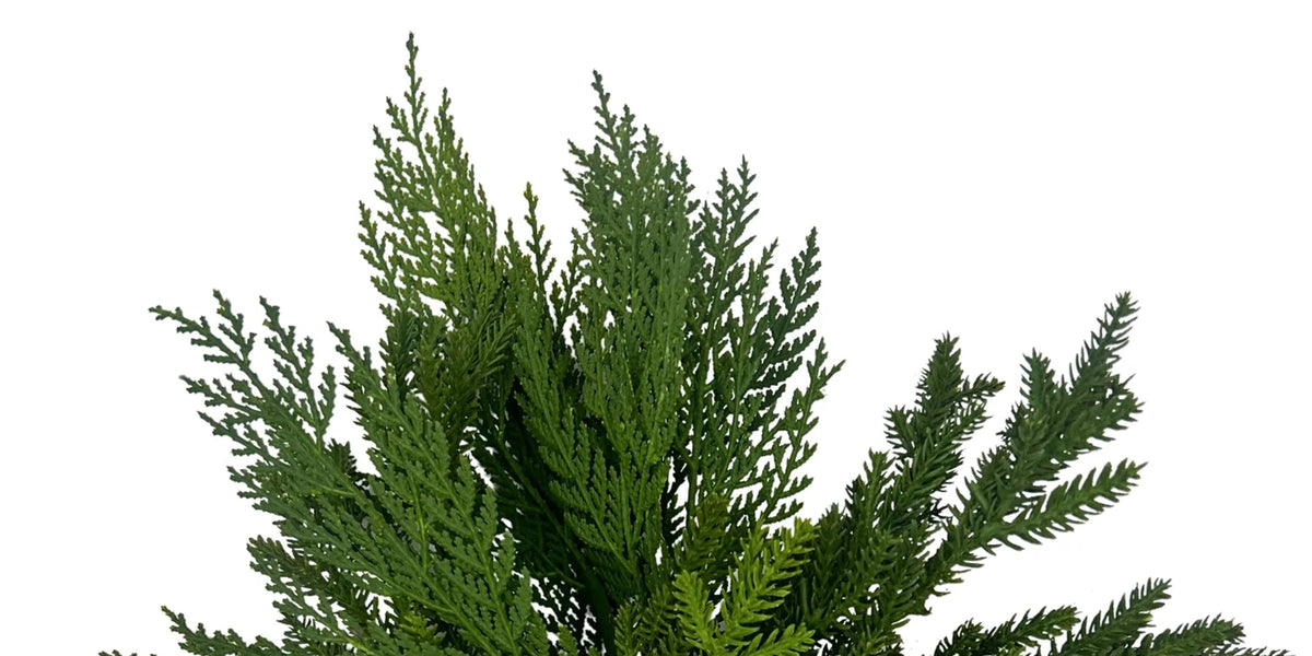 16" Real Touch Mini Spruce & Cedar Branch Bundle – Linen & Clove